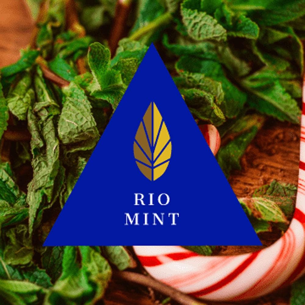 Azure Gold Line Rio Mint